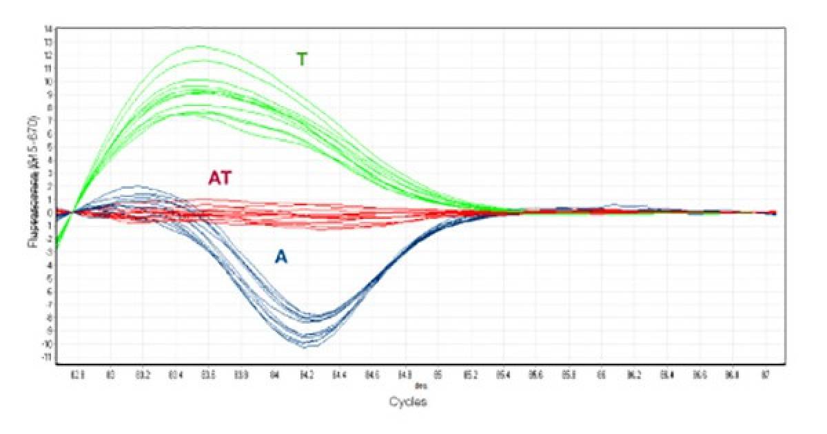 SensiFAST™ HRM Kit (Fluorescent Dye) Bioline